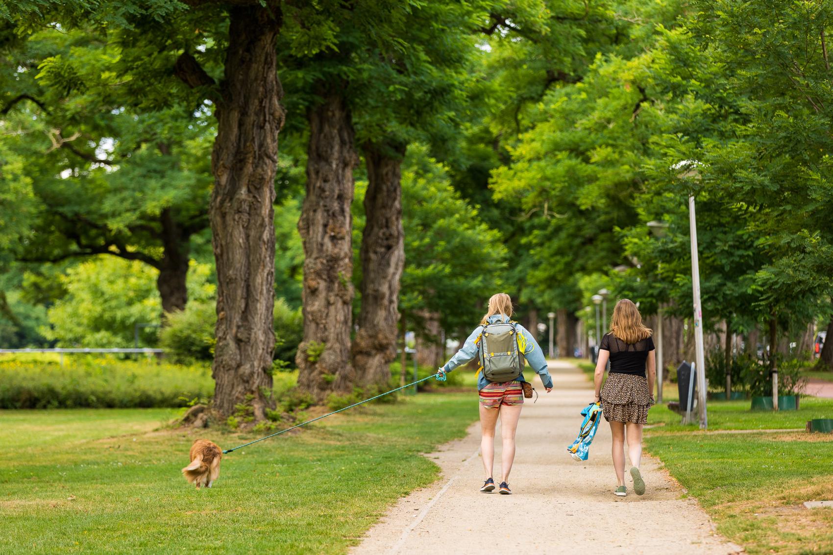 Pact Woensel Zuid | Gemeente Eindhoven