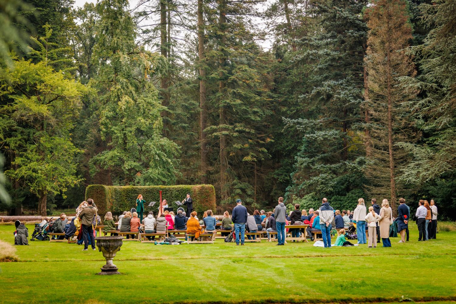 Lichtbos Vibes | Gemeente Eindhoven