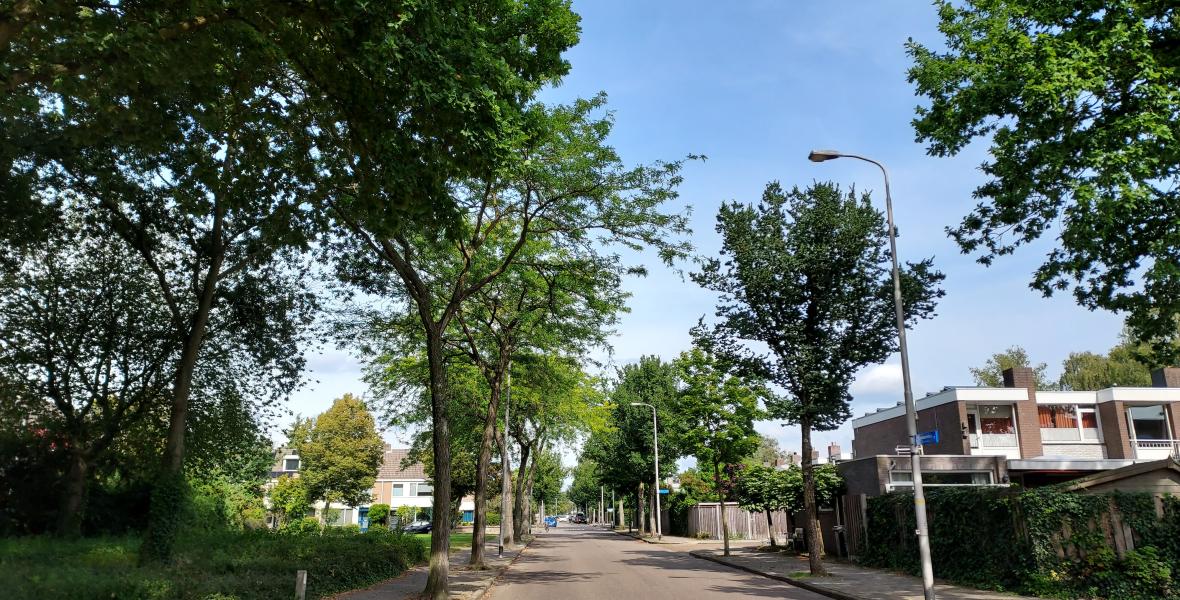 Stadsdeel Woensel-Zuid | Gemeente Eindhoven