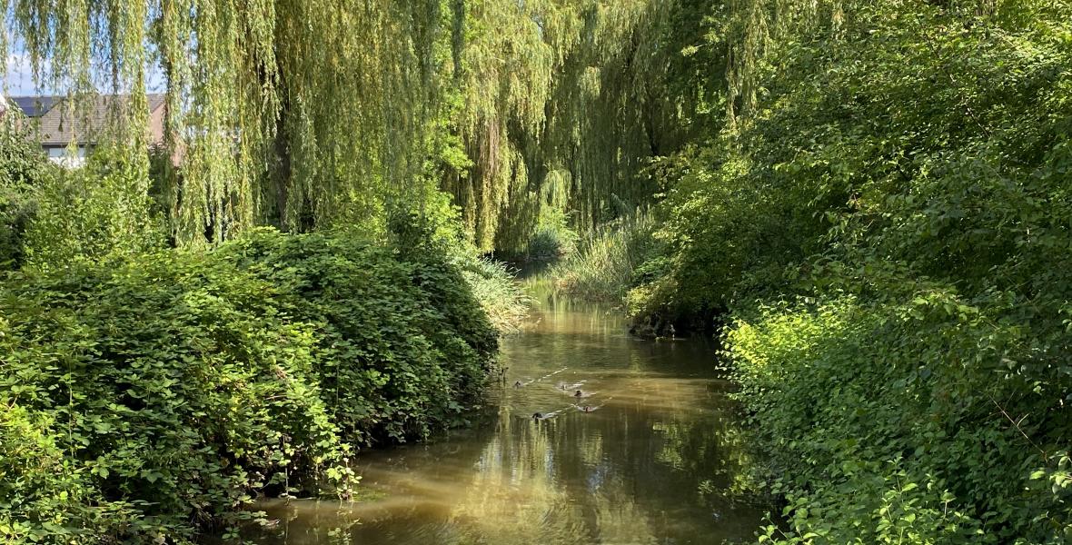 Eindje Om | Gemeente Eindhoven
